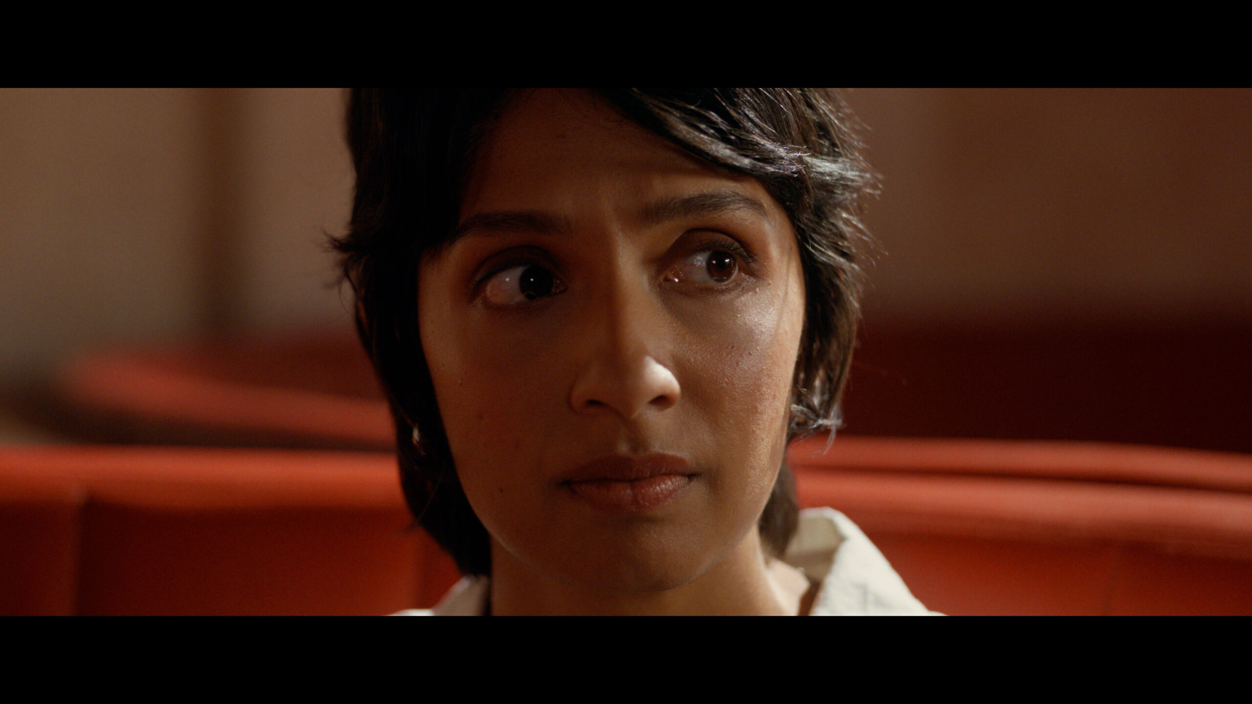 Misery and Other Choices (2025) - Physical TV